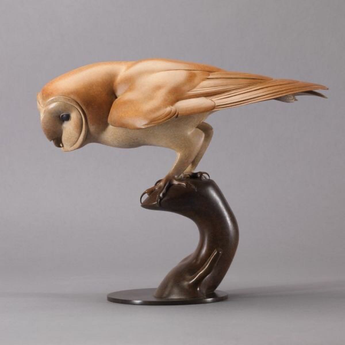 About – Shadrick Francis – Medium