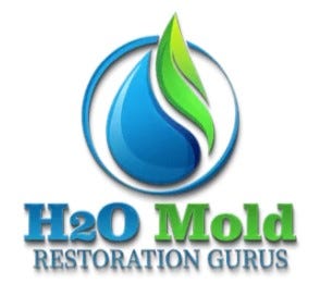H2O Mold Restoration Gurus – Medium