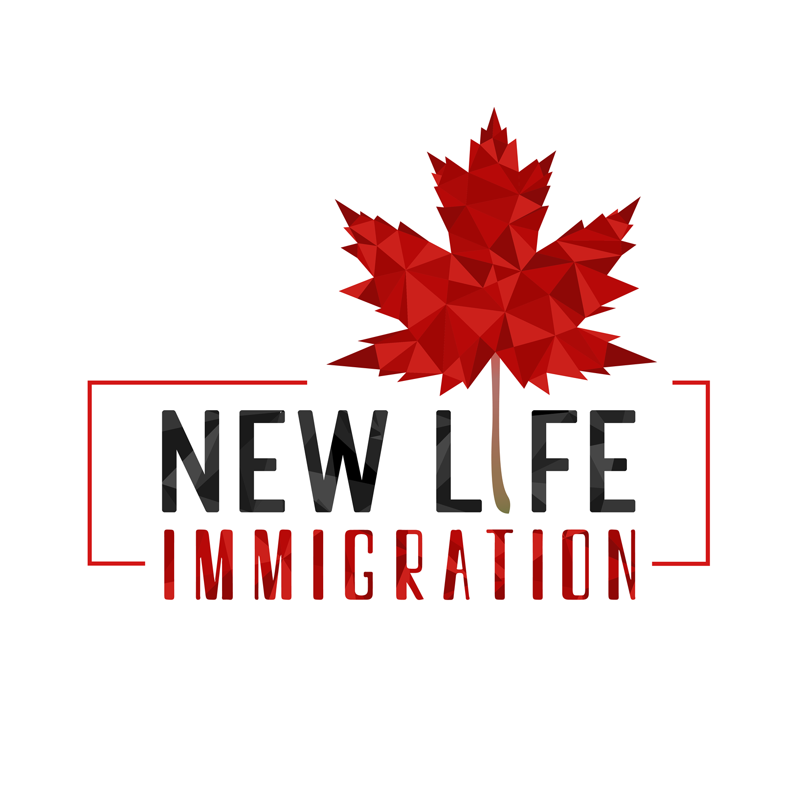 New Life Immigration – Medium
