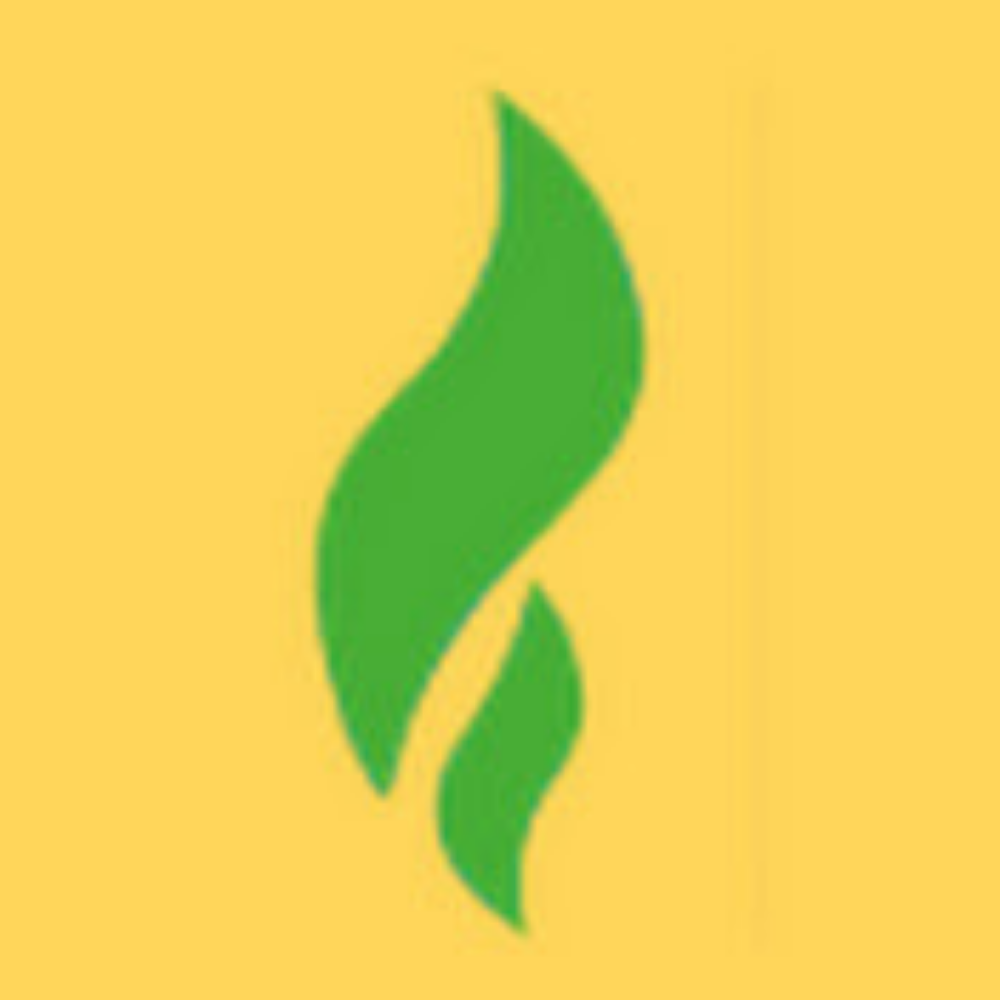 LYFE Accounting – Medium