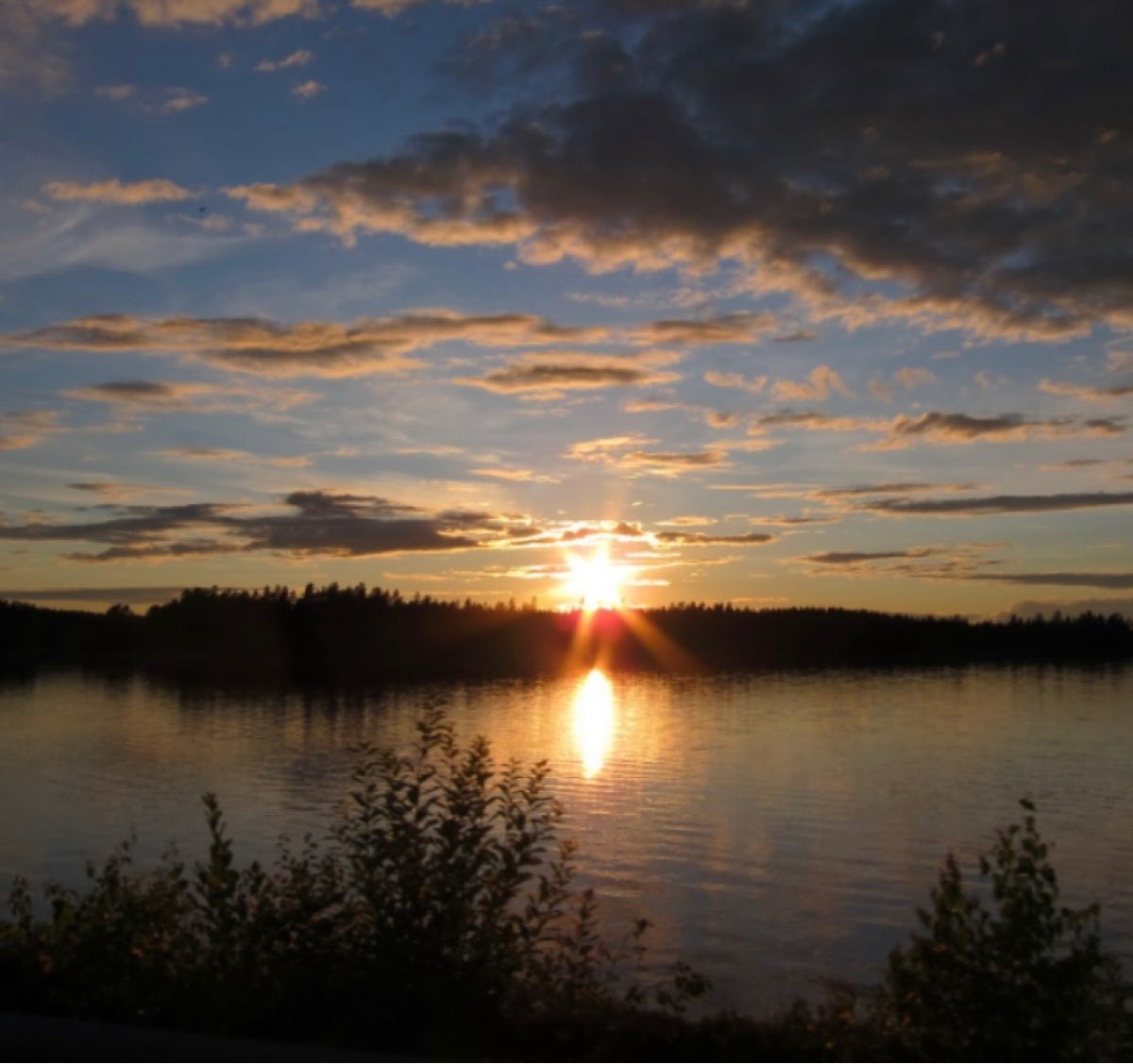 About – Harvey Hare – Medium