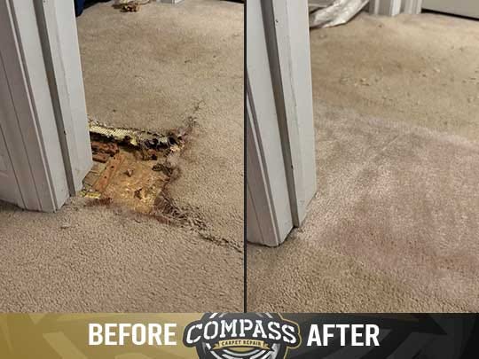 Compass Carpet Repair & Cleaning – Medium