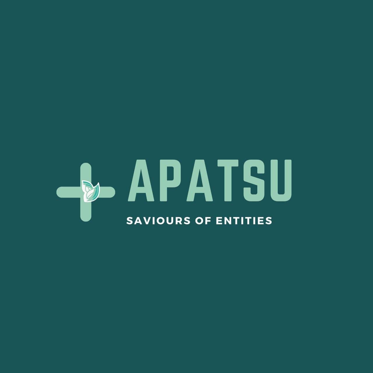 APATSU HealthCare – Medium