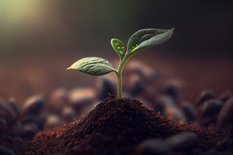 Ankur – Medium
