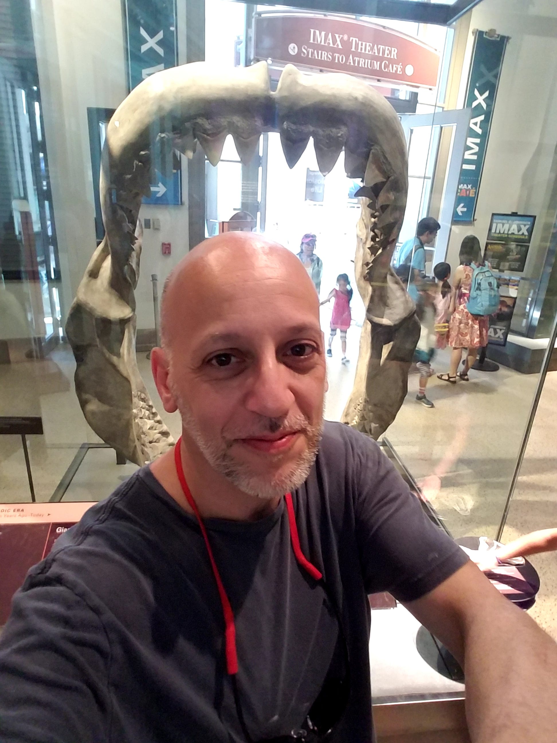 David Anthony on Medium curated some lists