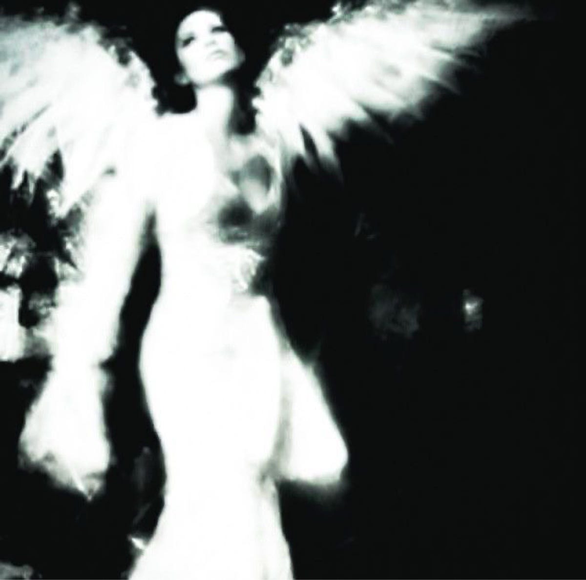 belladonna – Medium