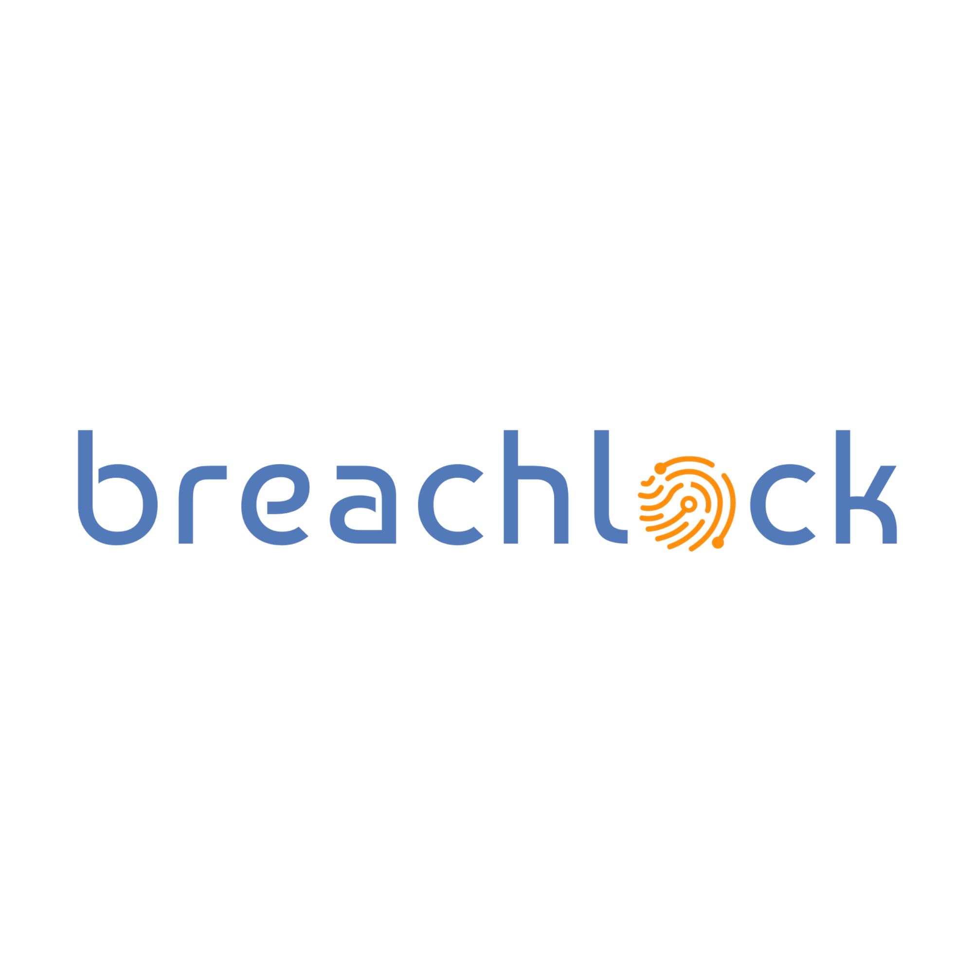 Breachlock Inc – Medium