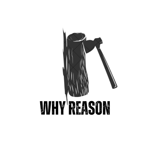 WHY REASON – Medium