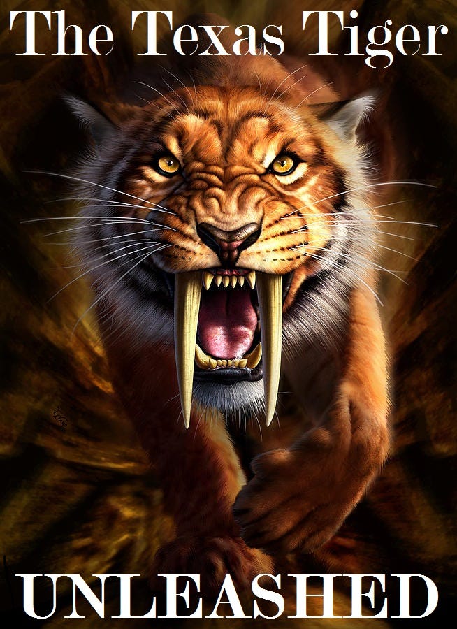Kelli D Gordon The Texas Tiger – Medium