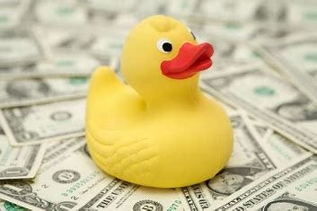 Finance Duck – Medium