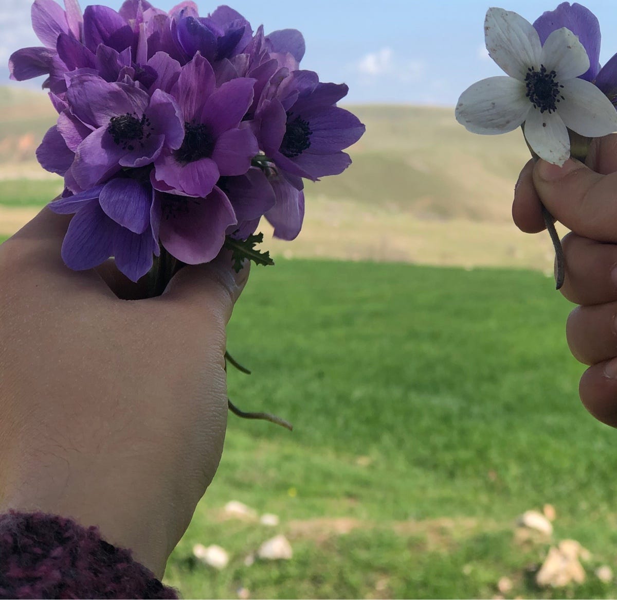 Jinda Dicle Akyol – Medium