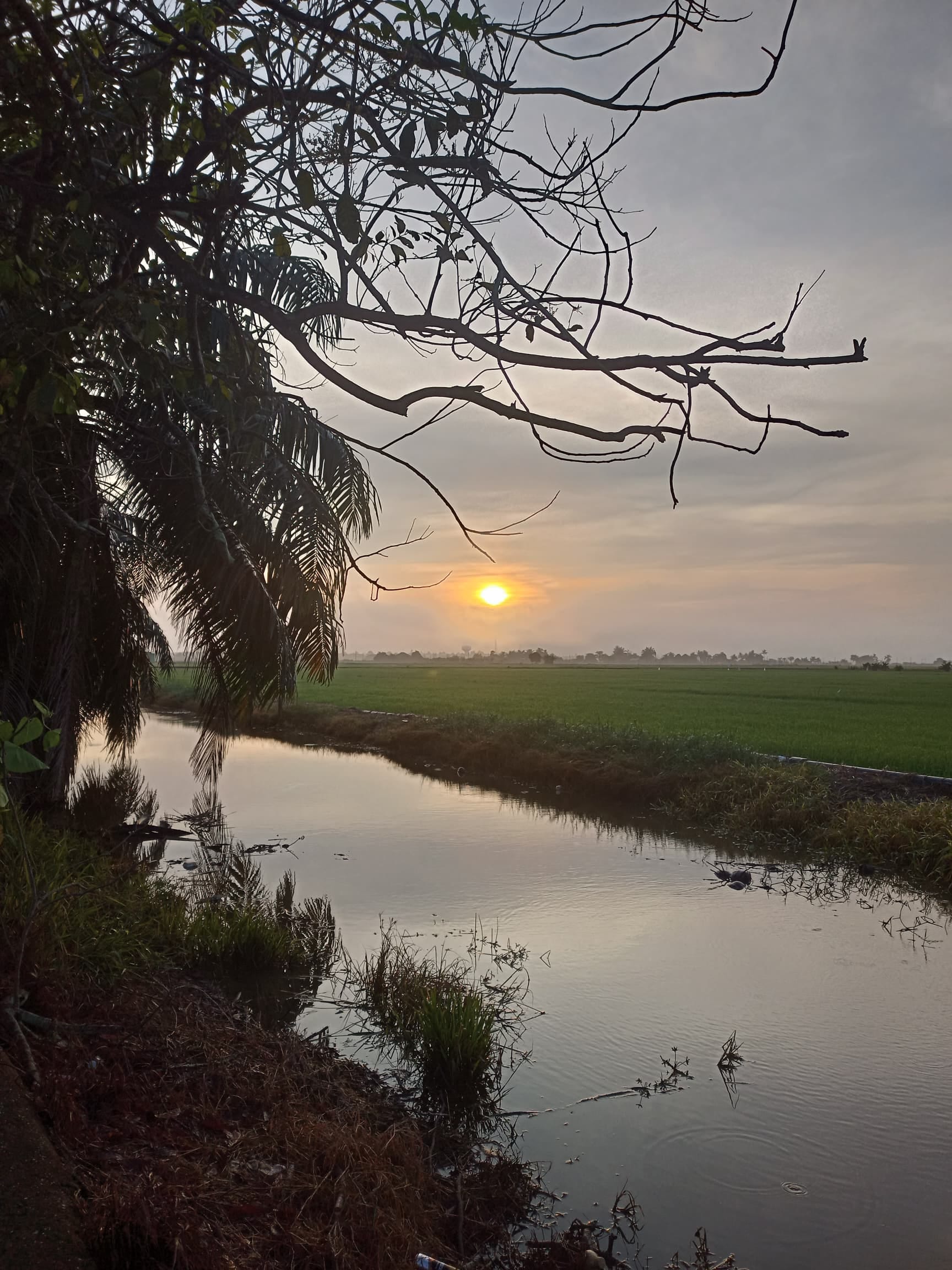 zakirah on Medium curated some lists