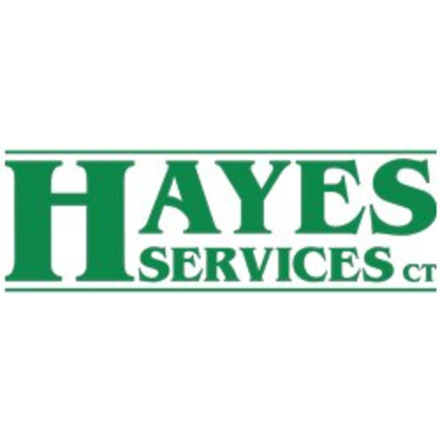 Hayes Services CT – Medium