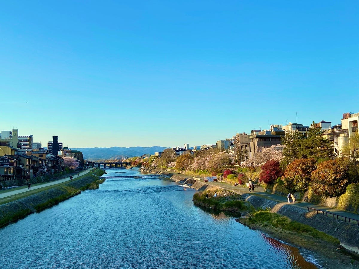 自由的邊界Alisa – Medium