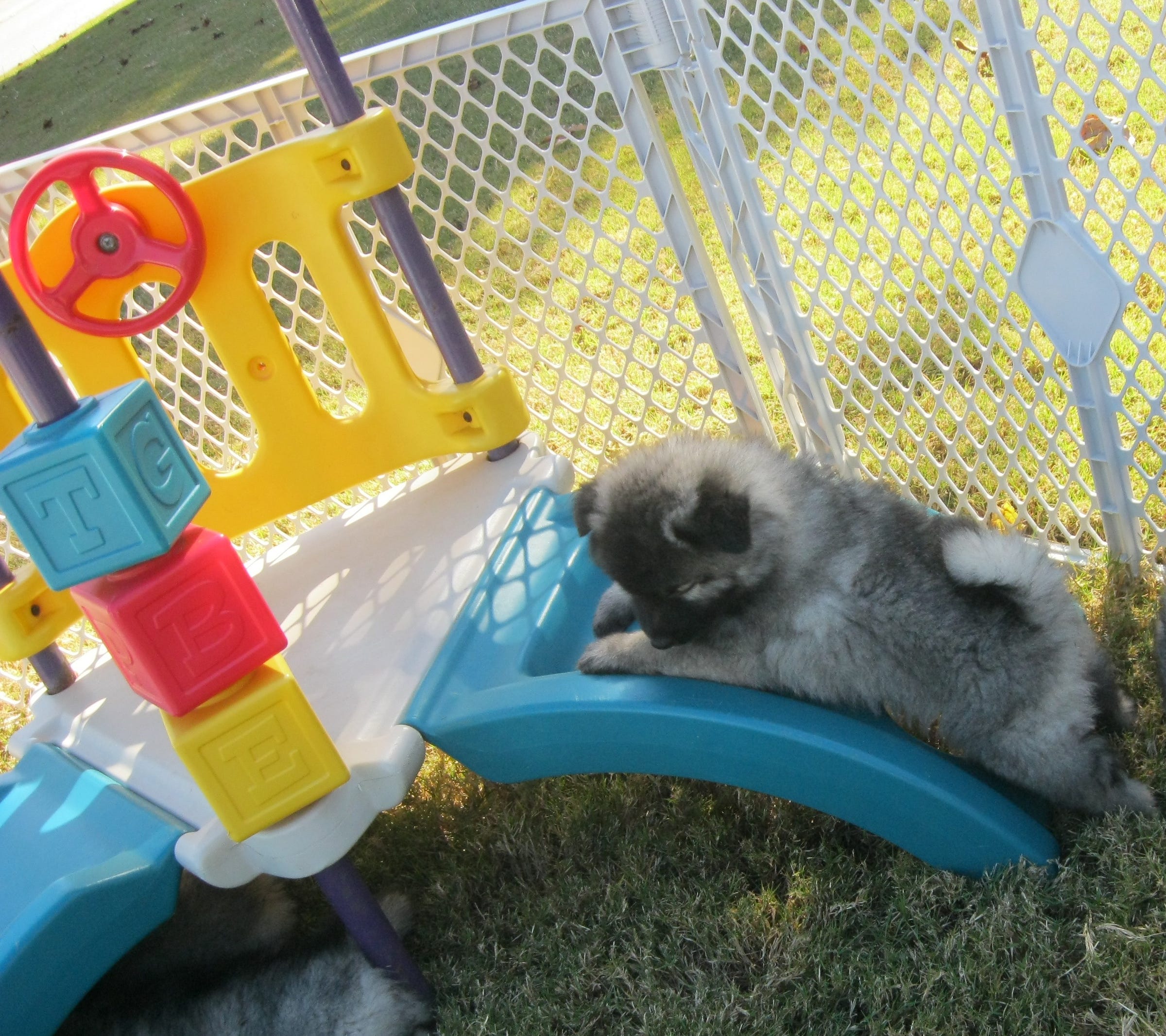 Sharlene TaylorBrowne – Medium