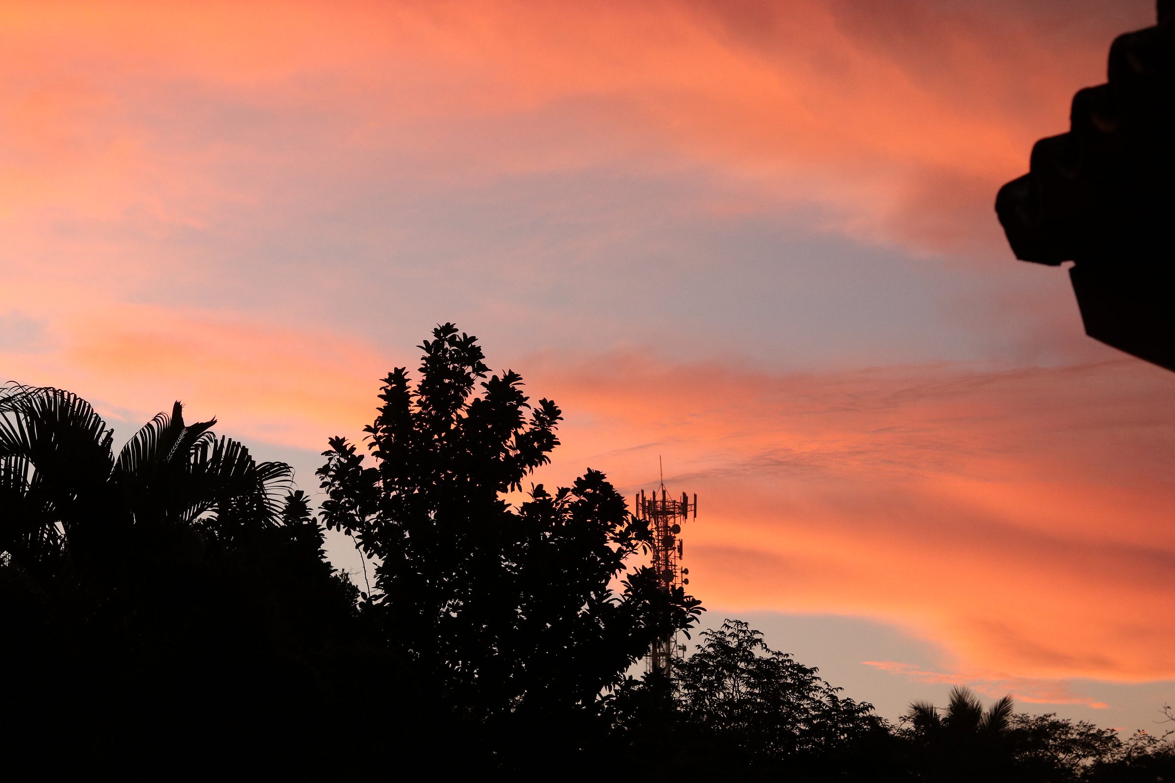 Samuel Fernandes – Medium