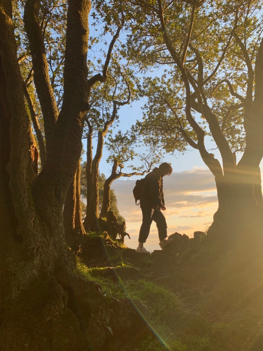 Riley Wild – Medium