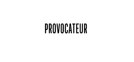 Provocateur Shop – Medium