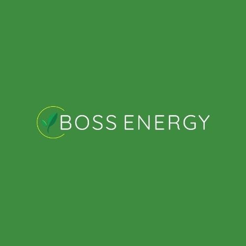 About – Boss Energy – Medium