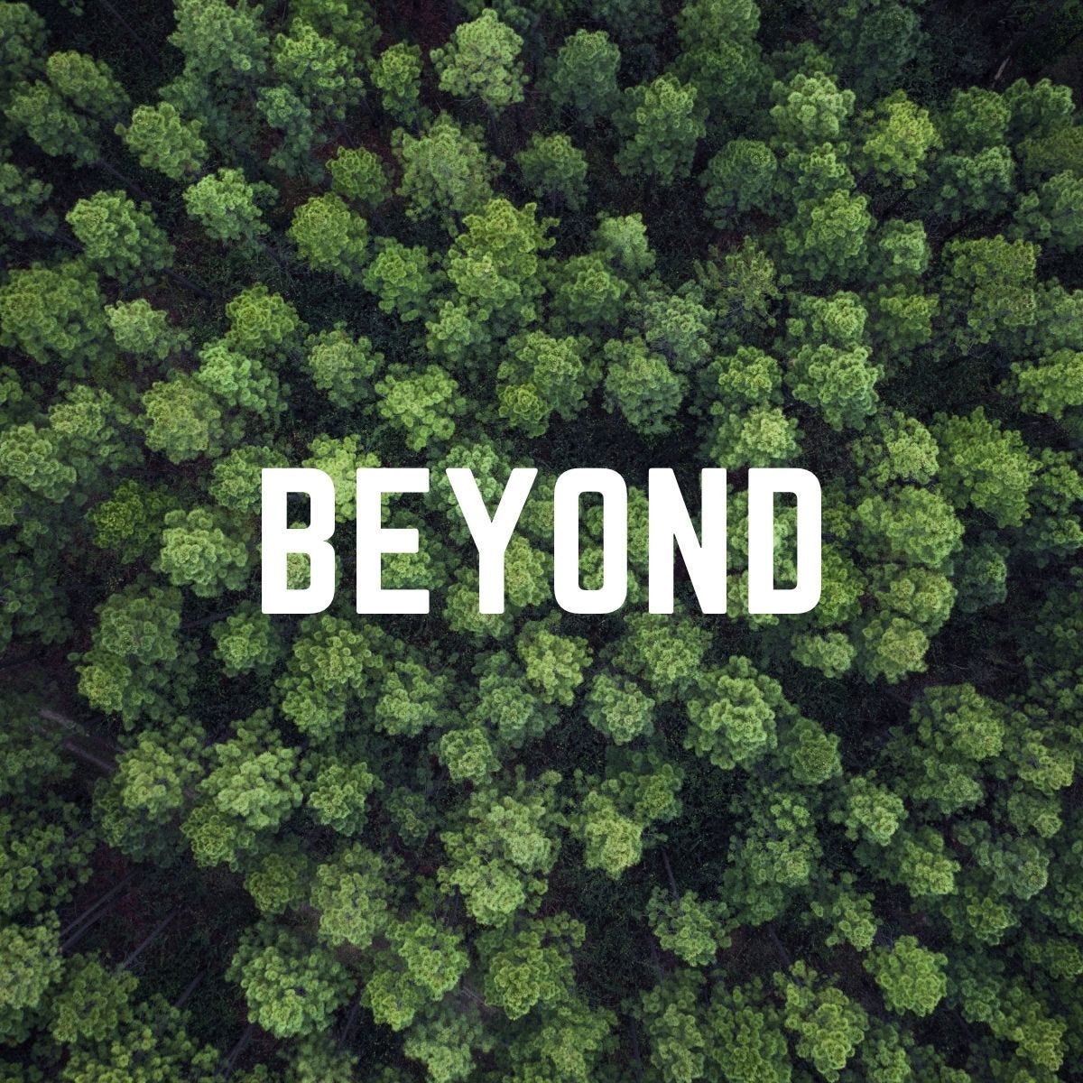 Beyond Institute – Medium