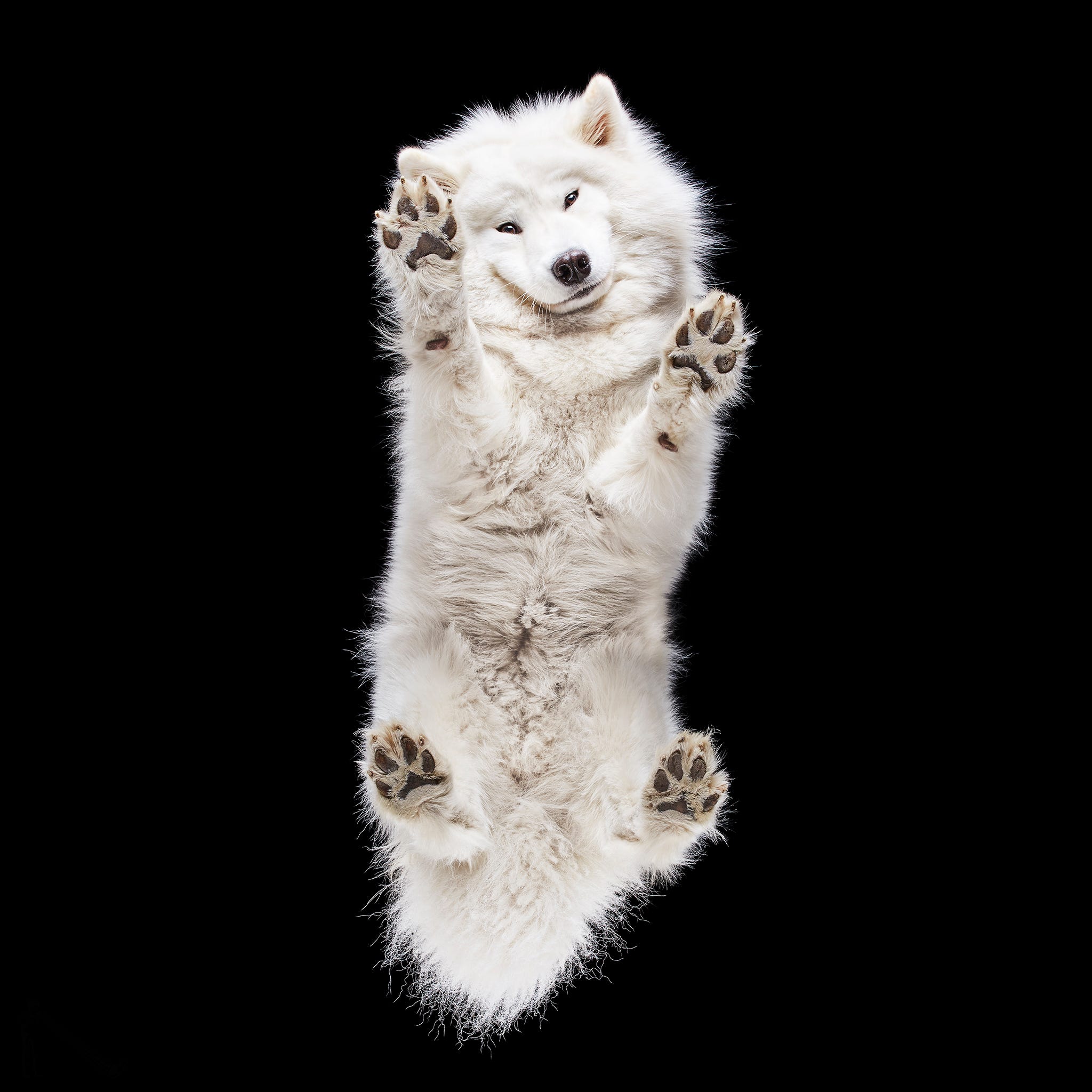 About – Tadas Ežerskis – Medium