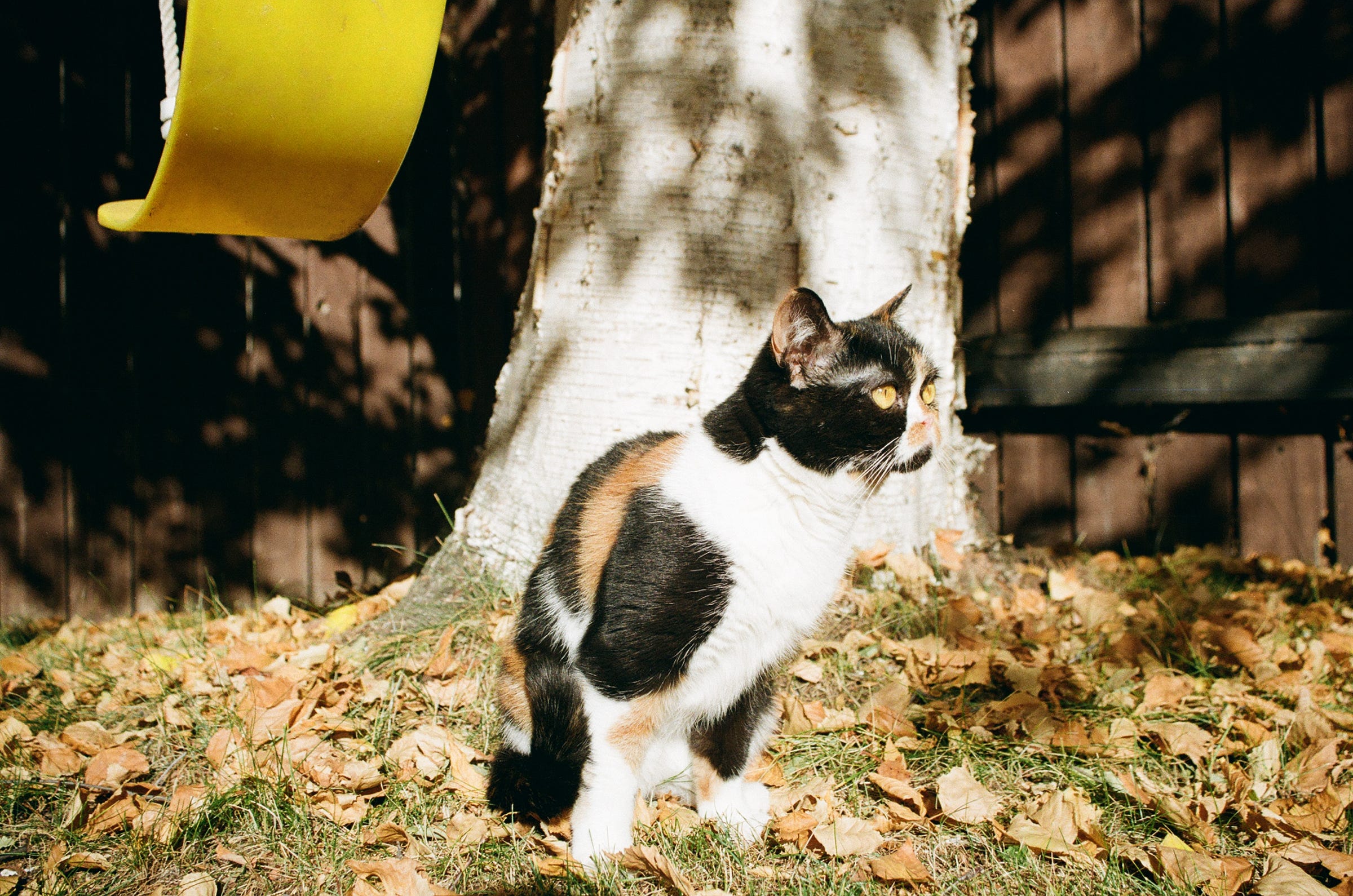 Stuart Gibson on Medium curated some lists