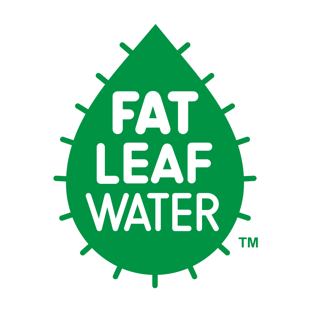 About – Fat Leaf Water – Medium