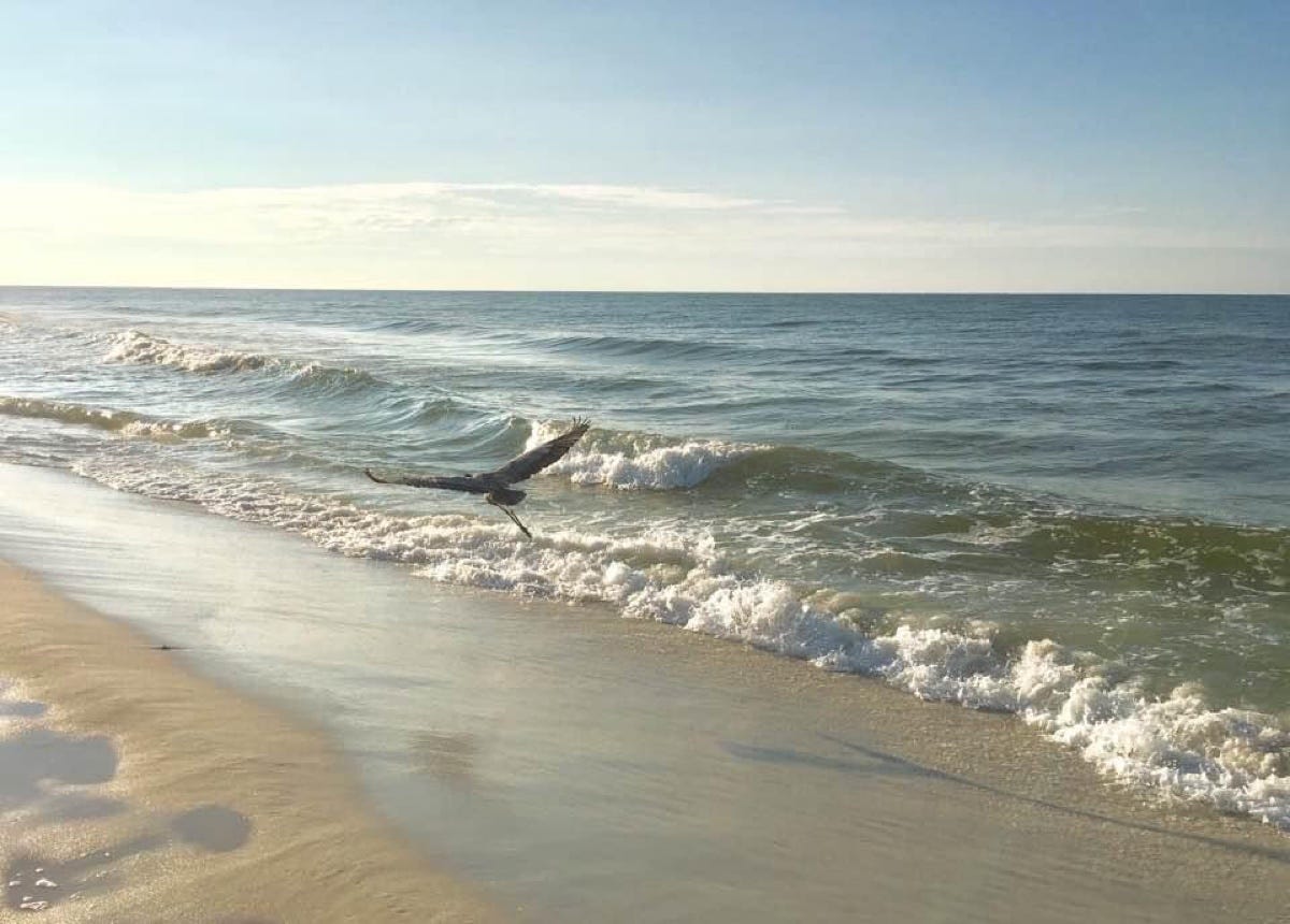 About – Bernie Murray – Medium