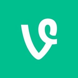 VINE – Medium