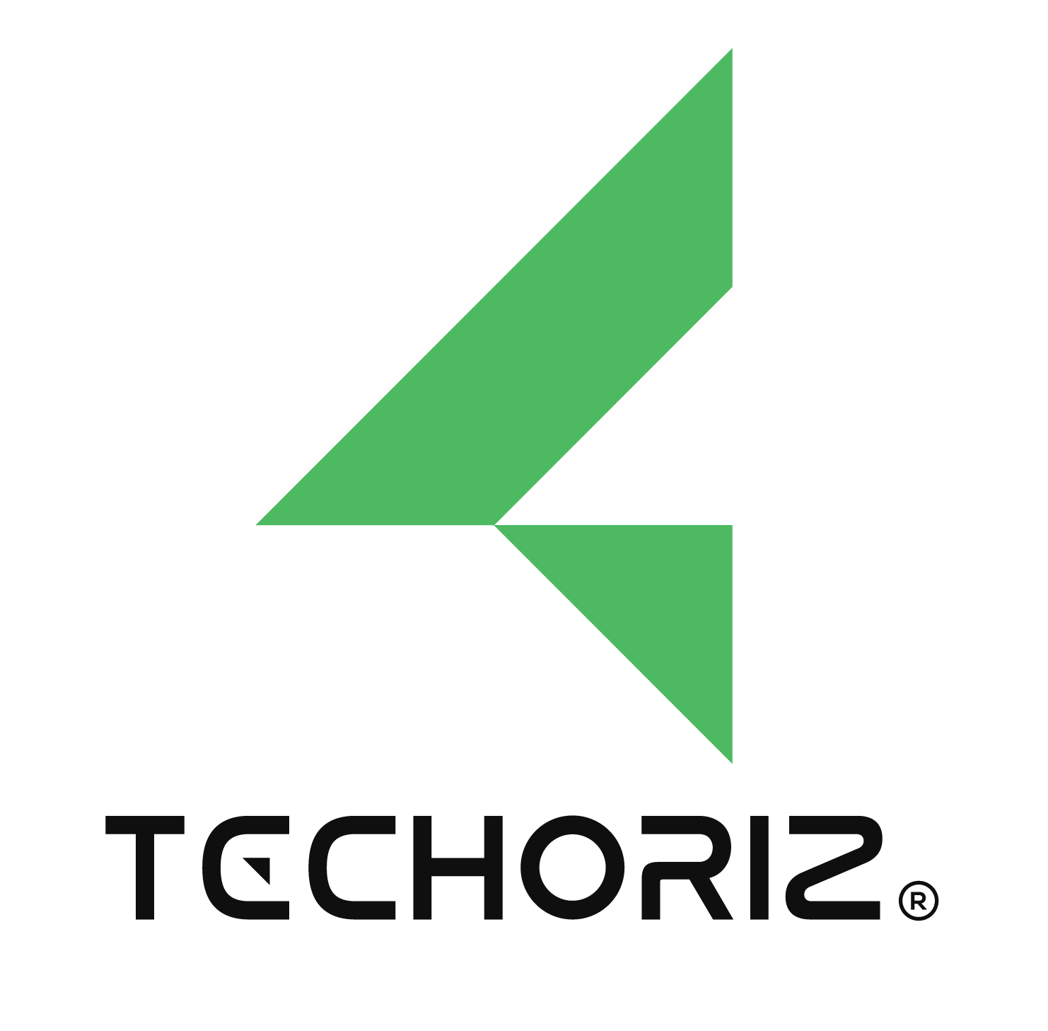 Techoriz Digital Solution – Medium