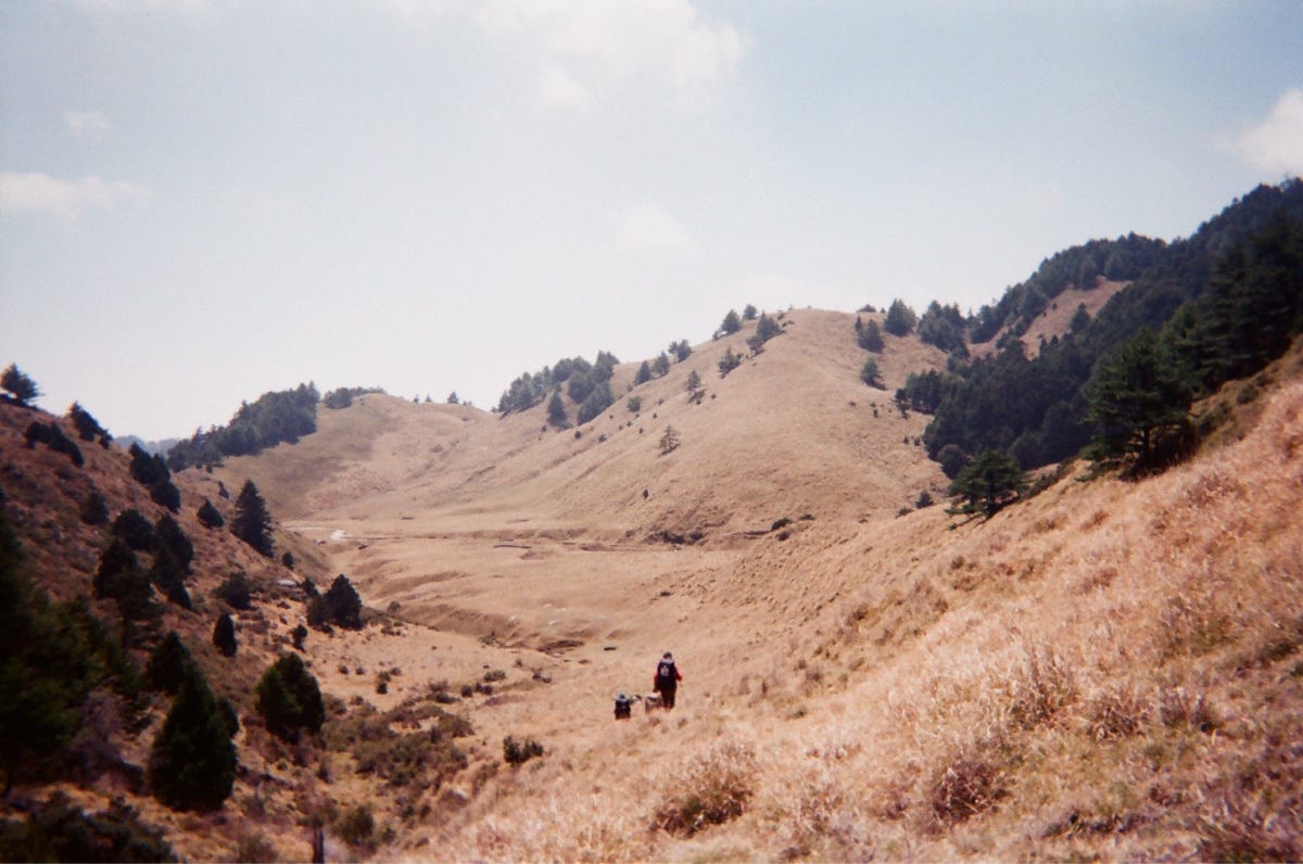 Ruby Tseng on Medium curated some lists