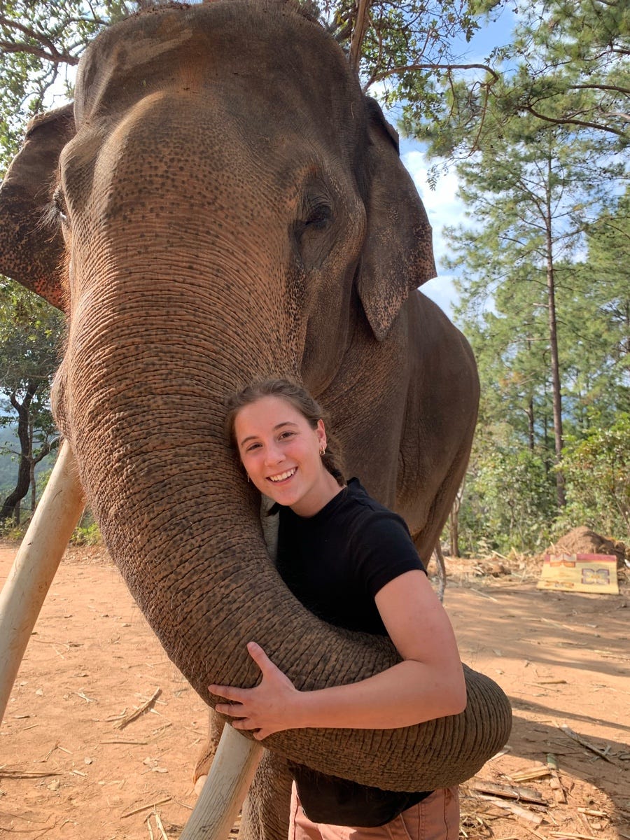Megan Stauffer – Medium