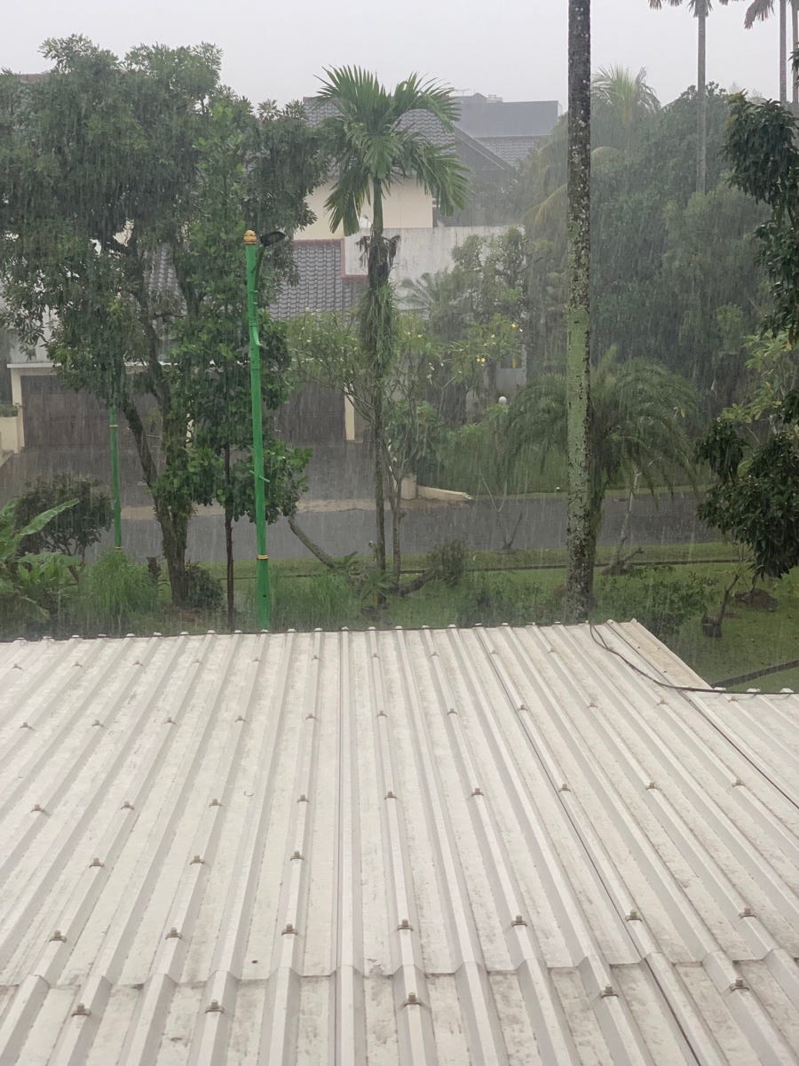 Sang Hujan – Medium