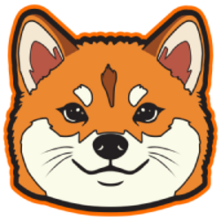 CHIB – Medium