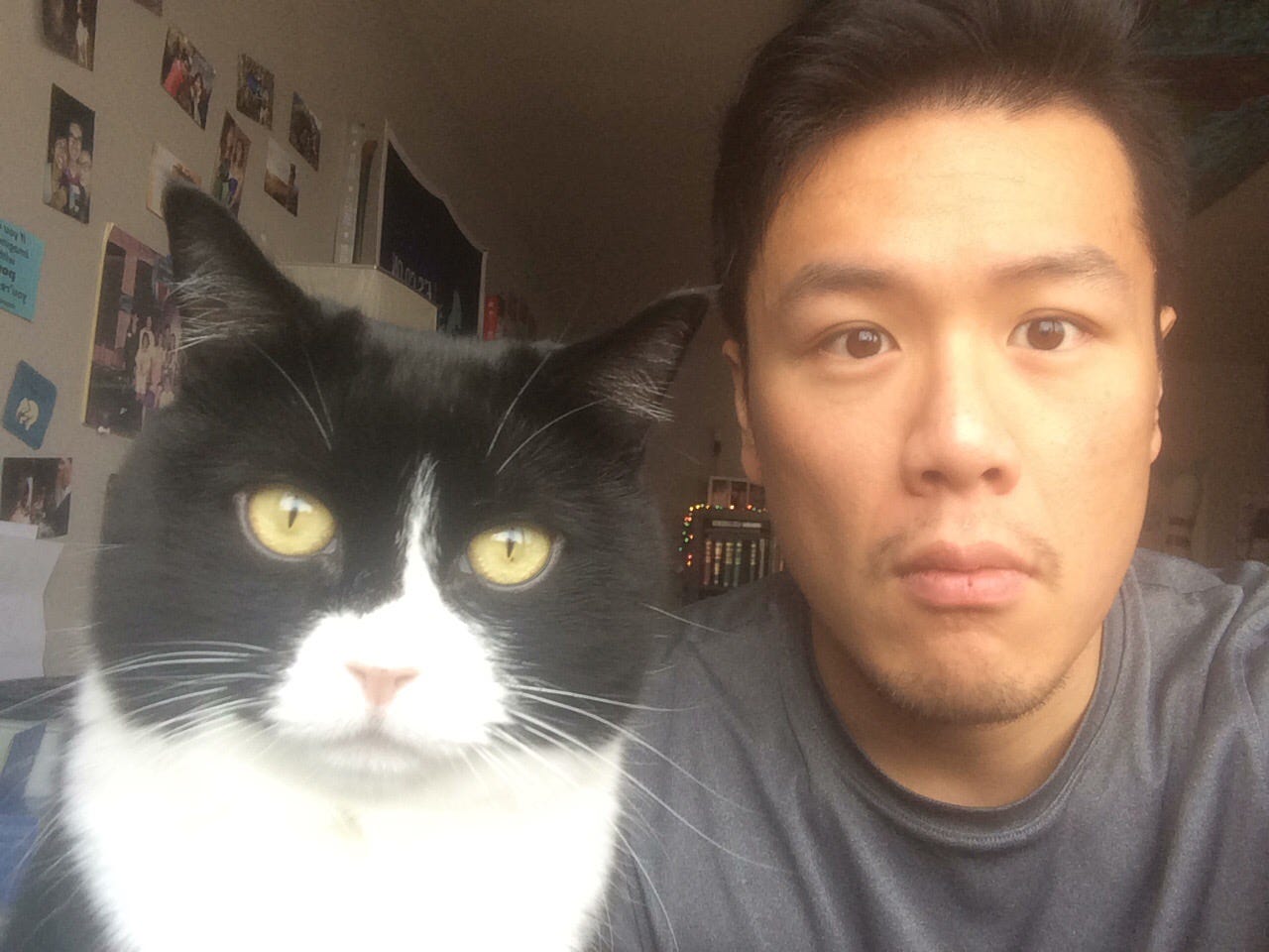 Kevin Tam – Medium