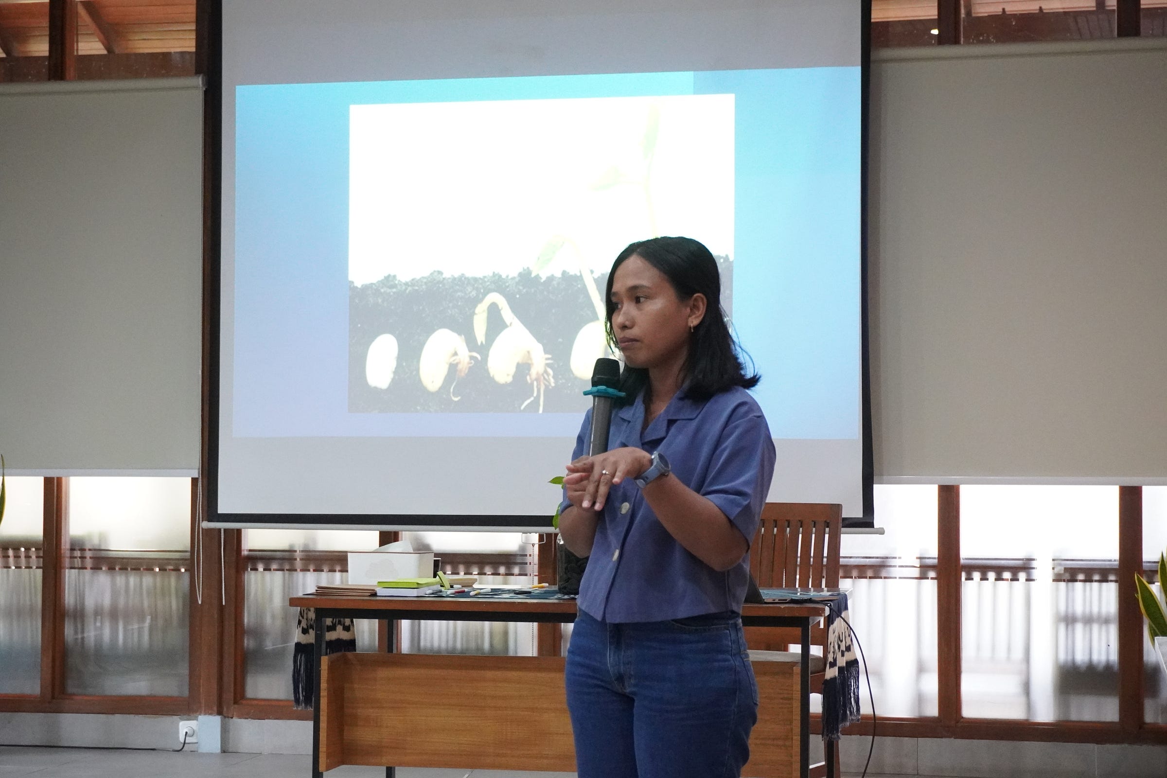 Erlin Mali – Medium