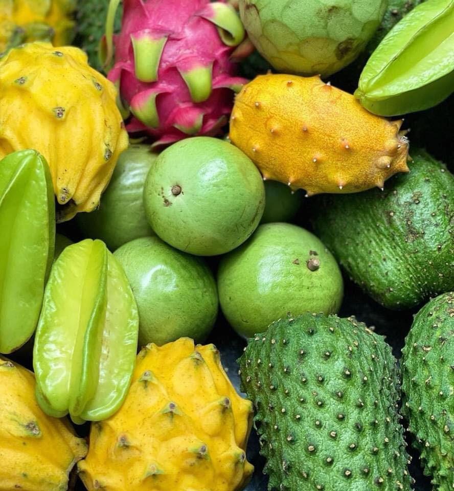 About – Fresh Tropical Fruits – Medium