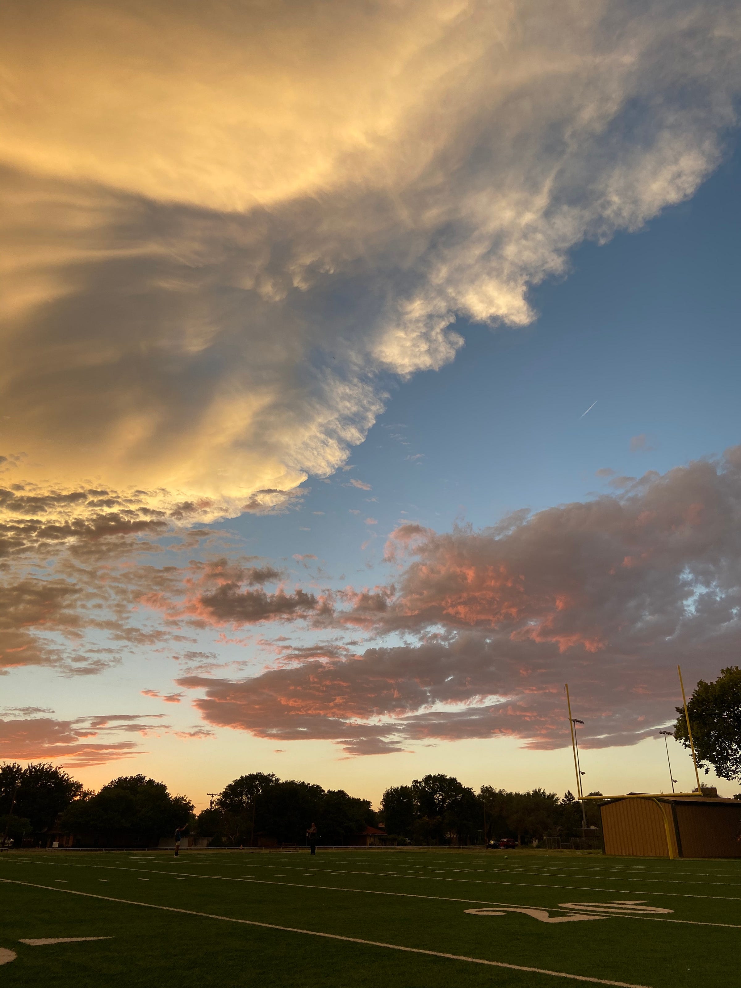 Chapter 1: The Bucket List