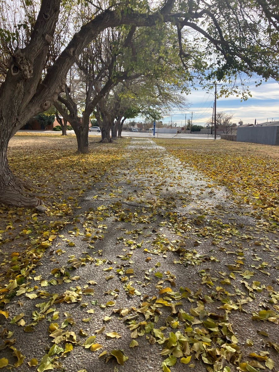 Sara Renee – Medium