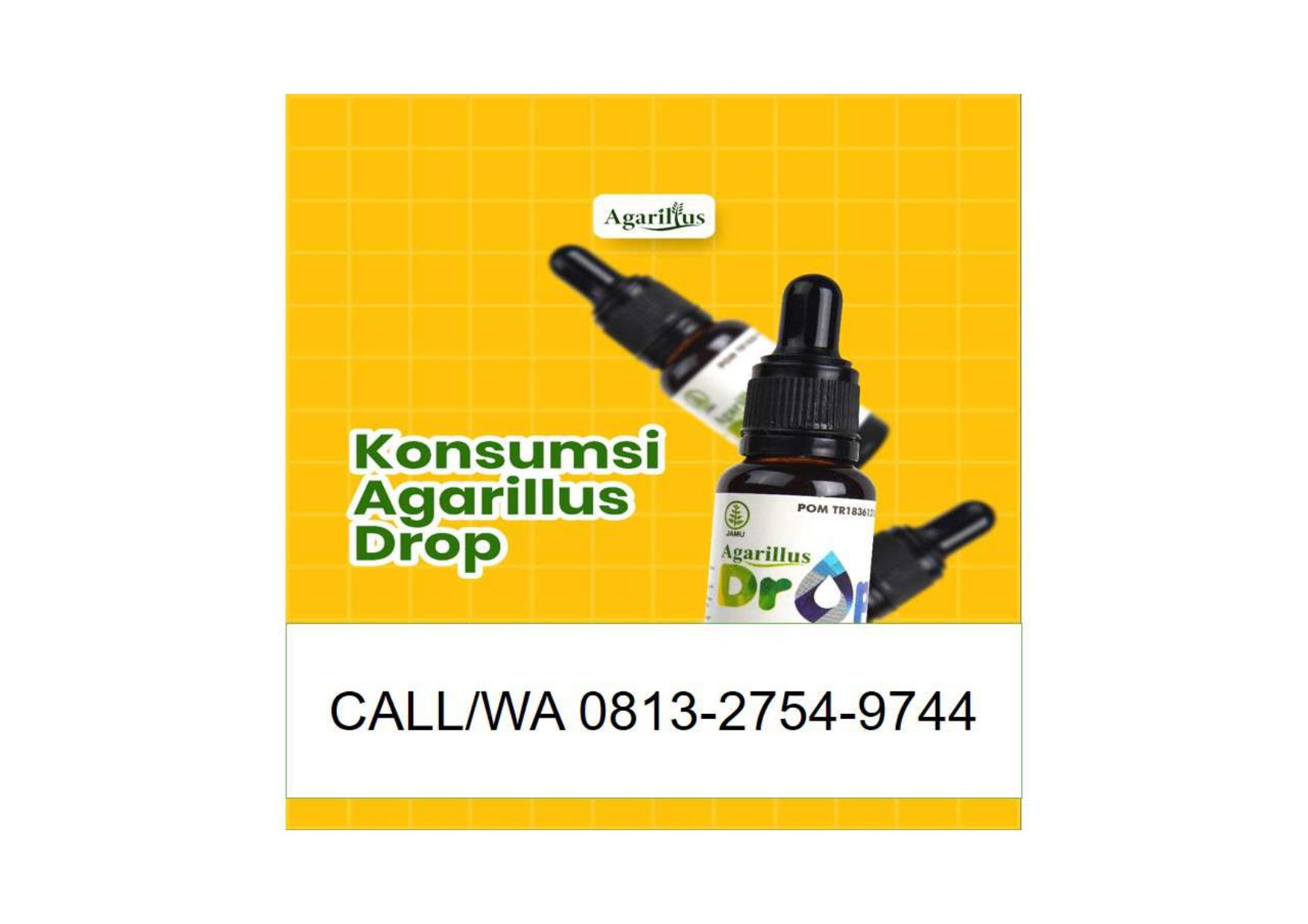 Peluang Usaha Agarillus – Medium