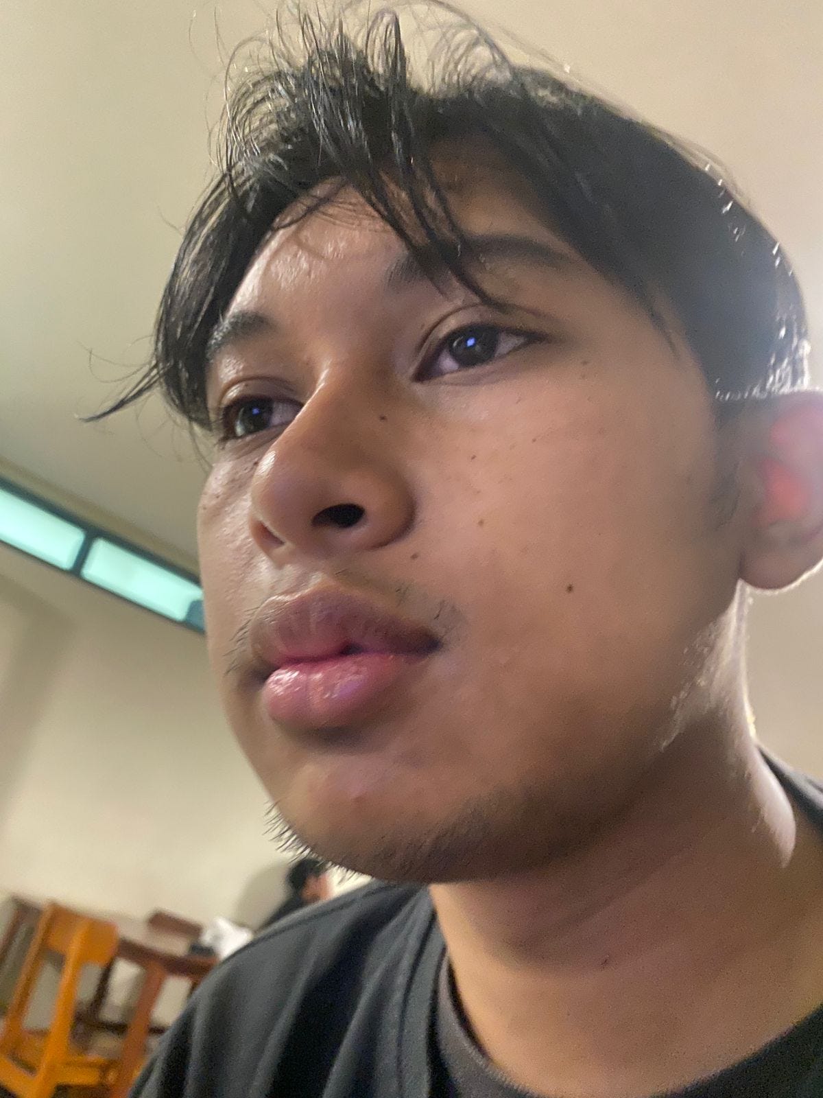 Koala Ngantuk – Medium