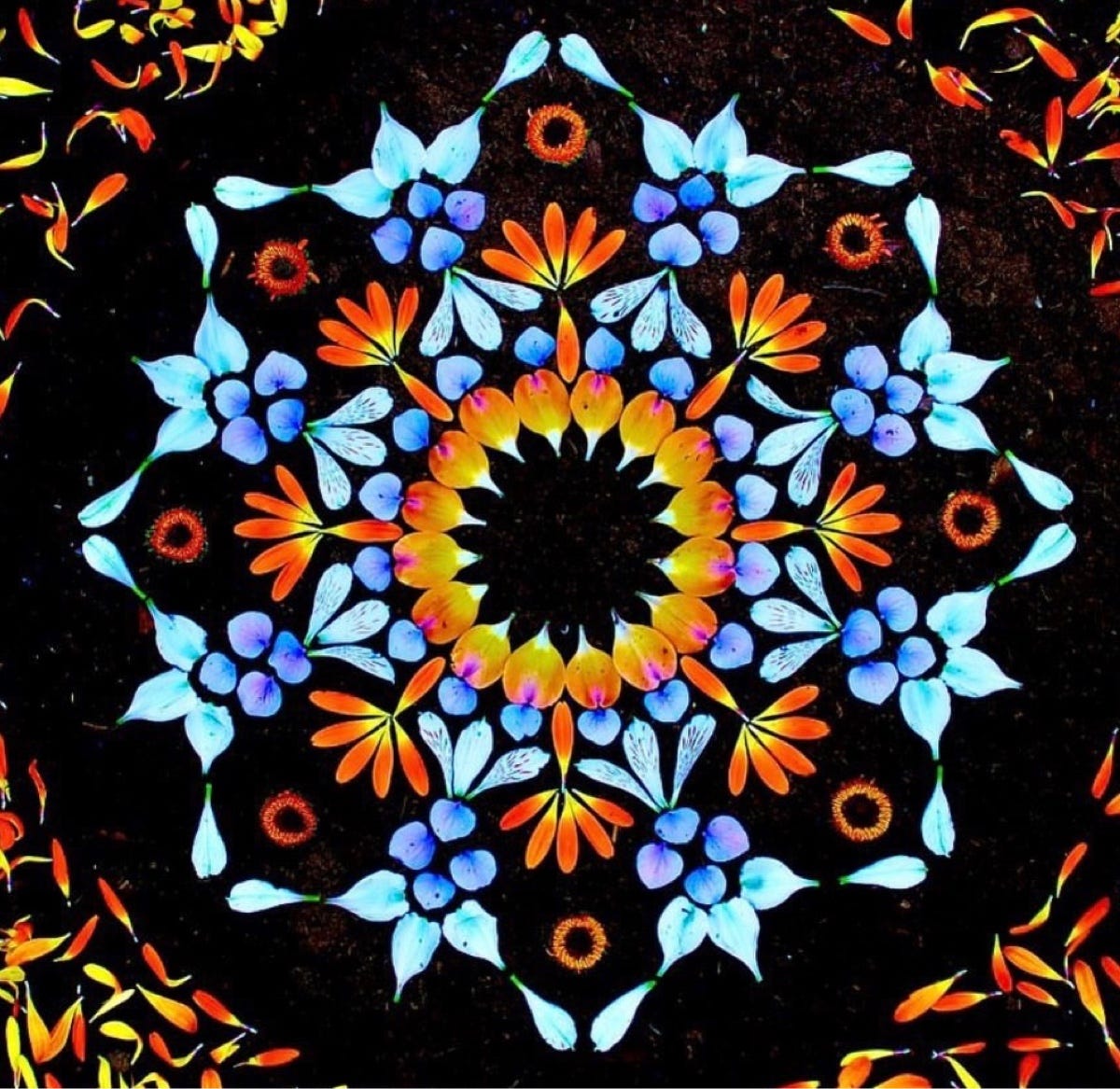 Josephine Beck – Medium