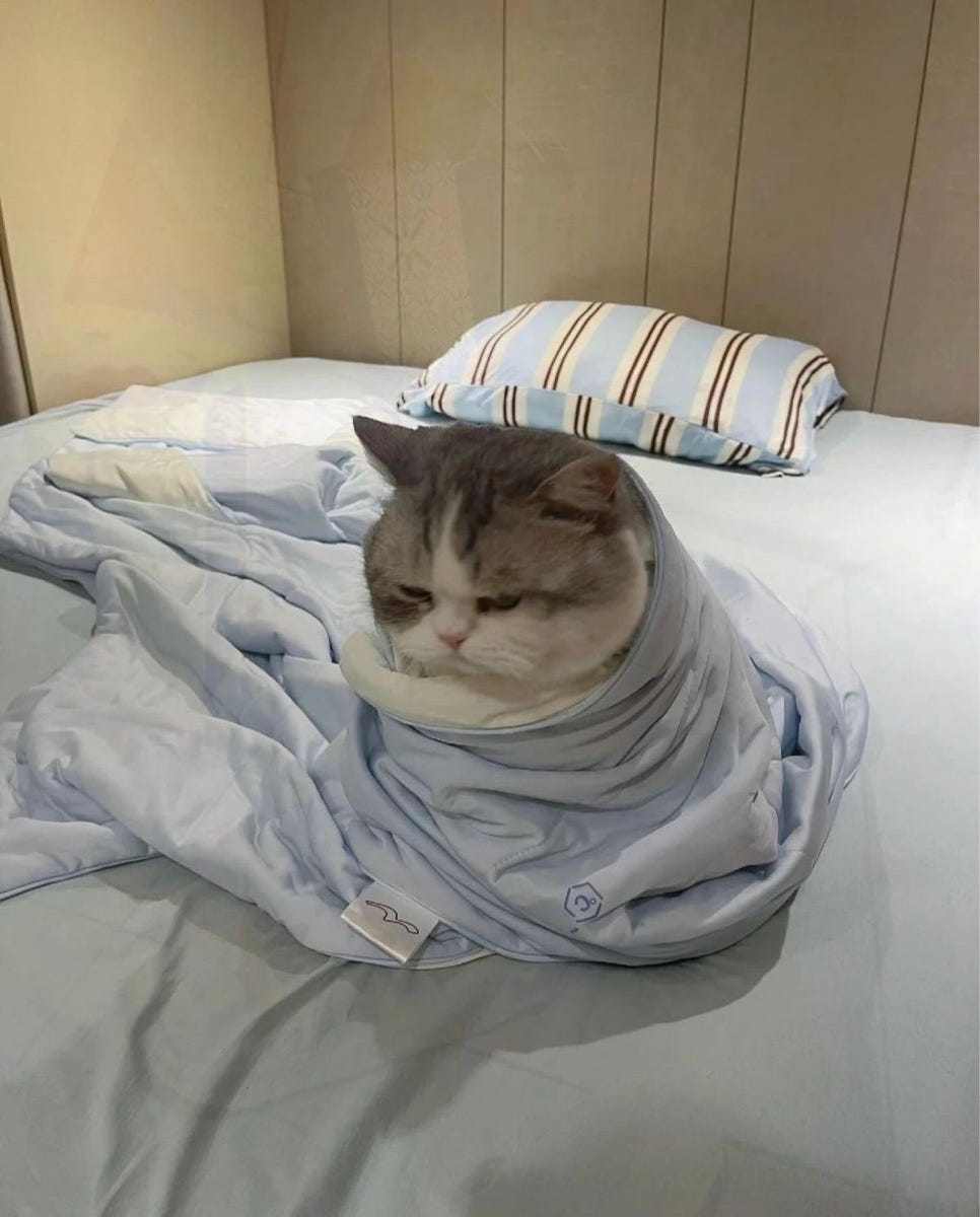 Janice Popul – Medium