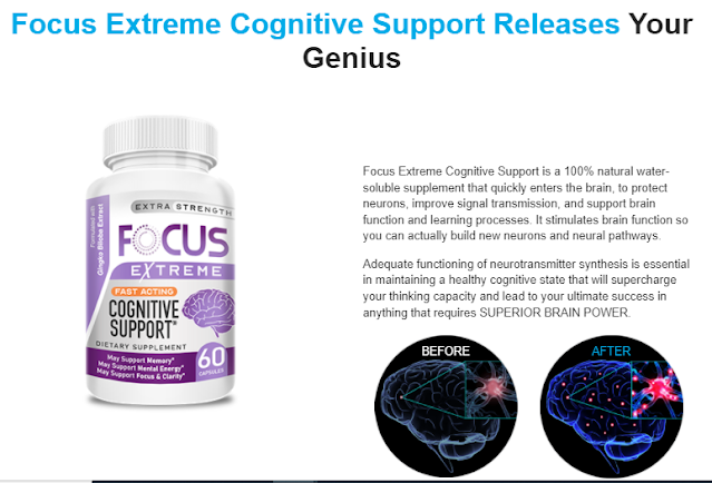 Focus Extreme Cognitive Support – Medium