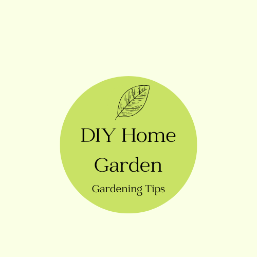 DIY Home Garden – Medium DIY Home Garden – Medium