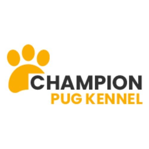 Champion Pug Kennels – Medium