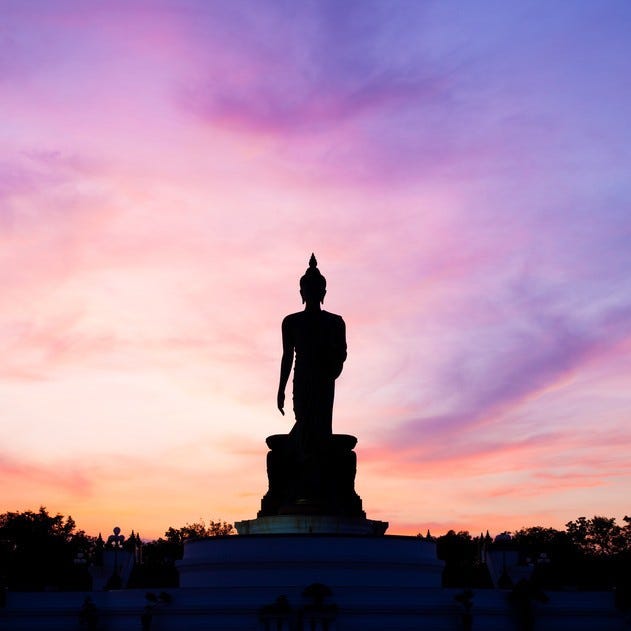 Shorty Monk – Medium