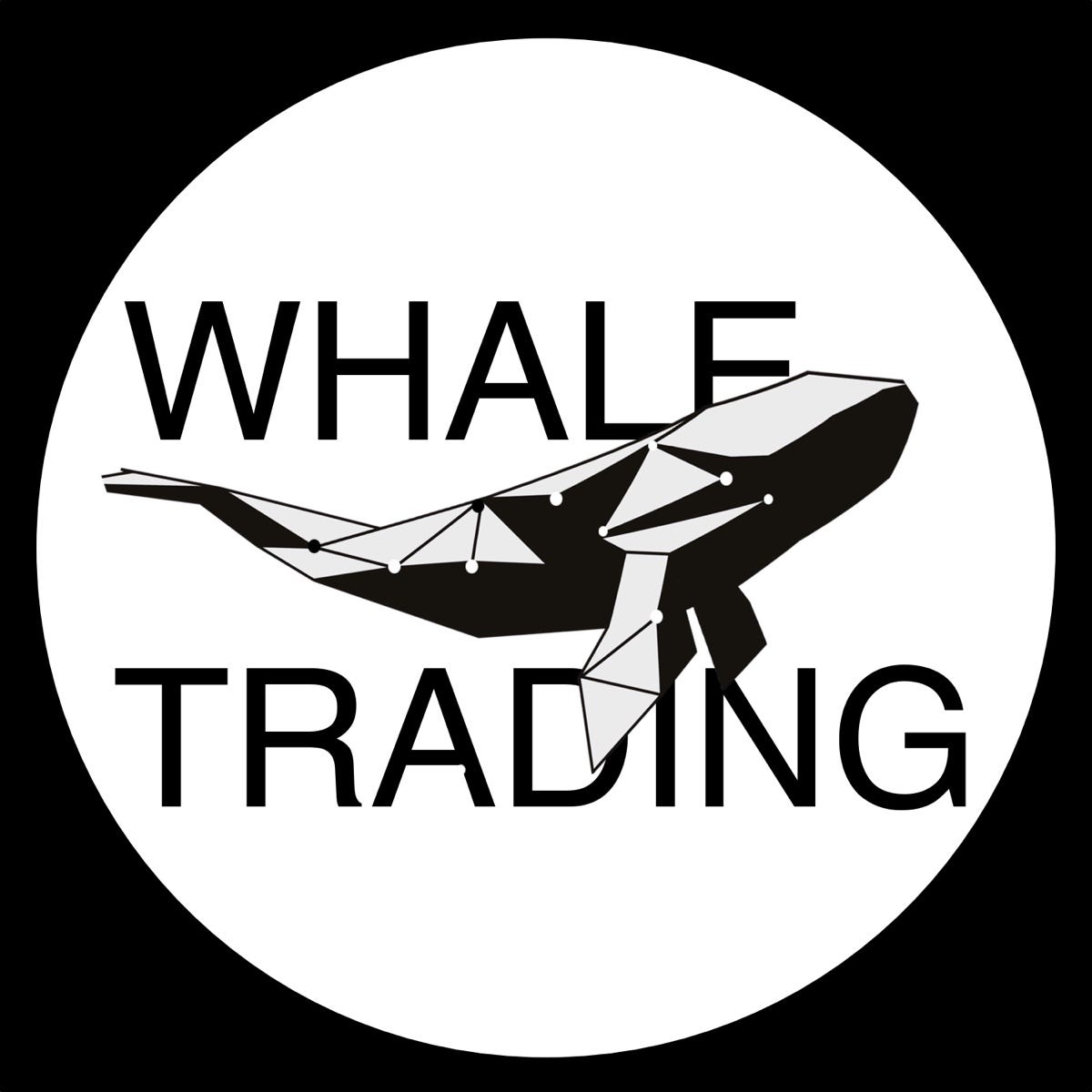 Whale Trader – Medium