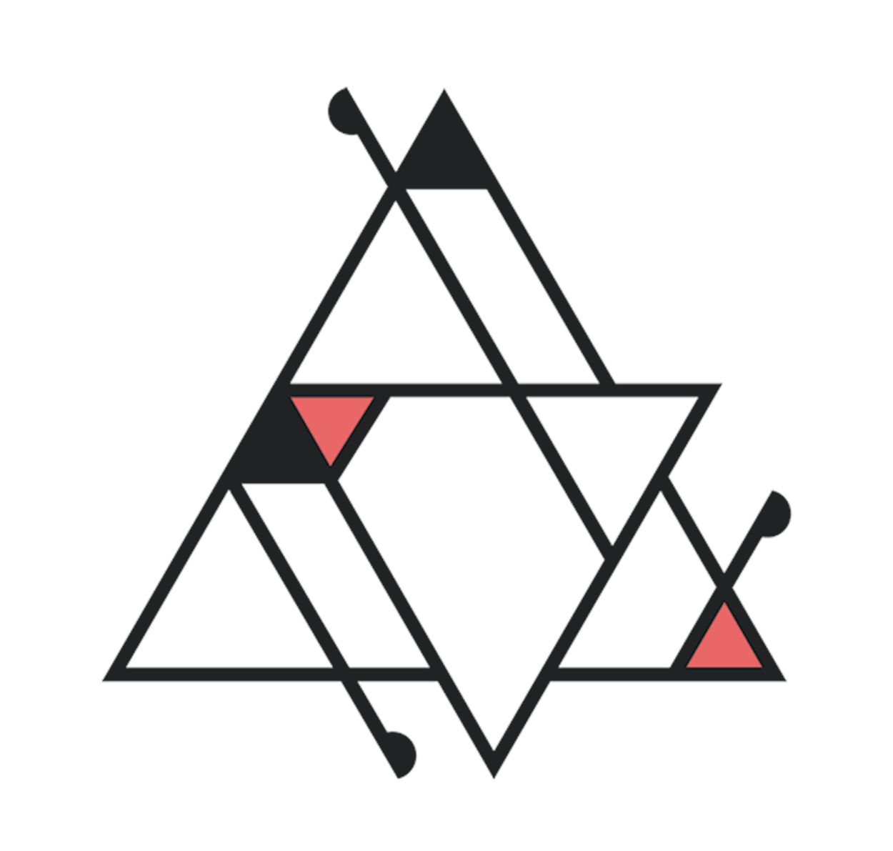 Animo Solutions – Medium