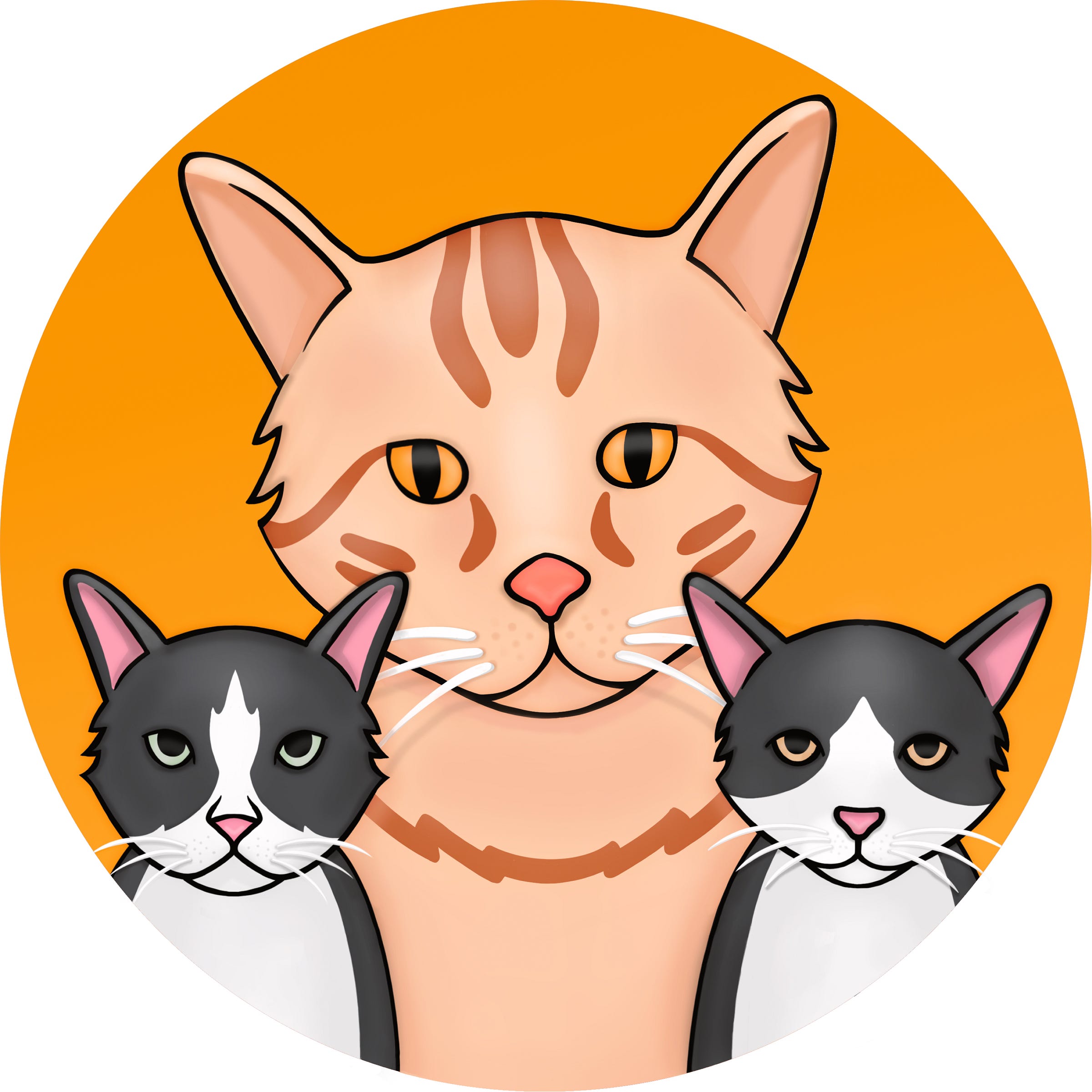 CatBros – Medium